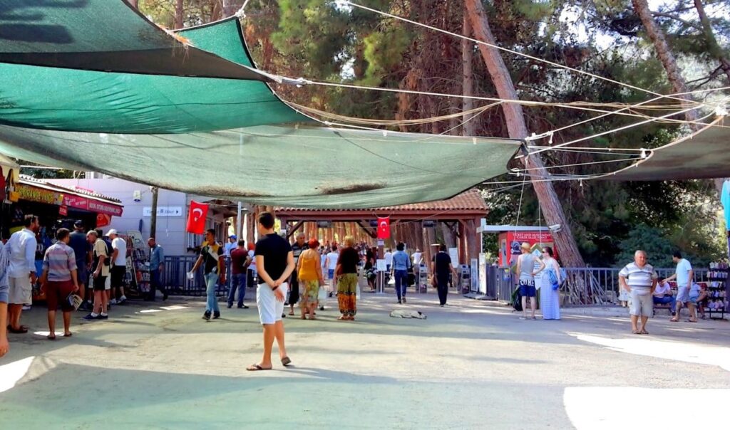 How to go from Kusadasi Cruise Port to Ephesus?